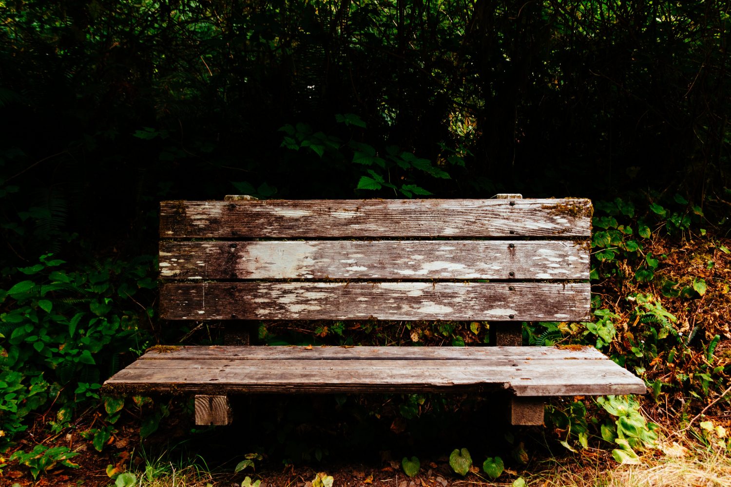 Avoidance in Five Parts. - Other Terrain Literary Journal