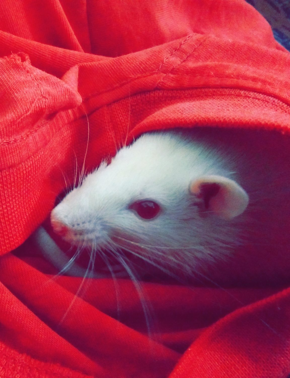 When I Was Eight - Other Terrain Literary Journal