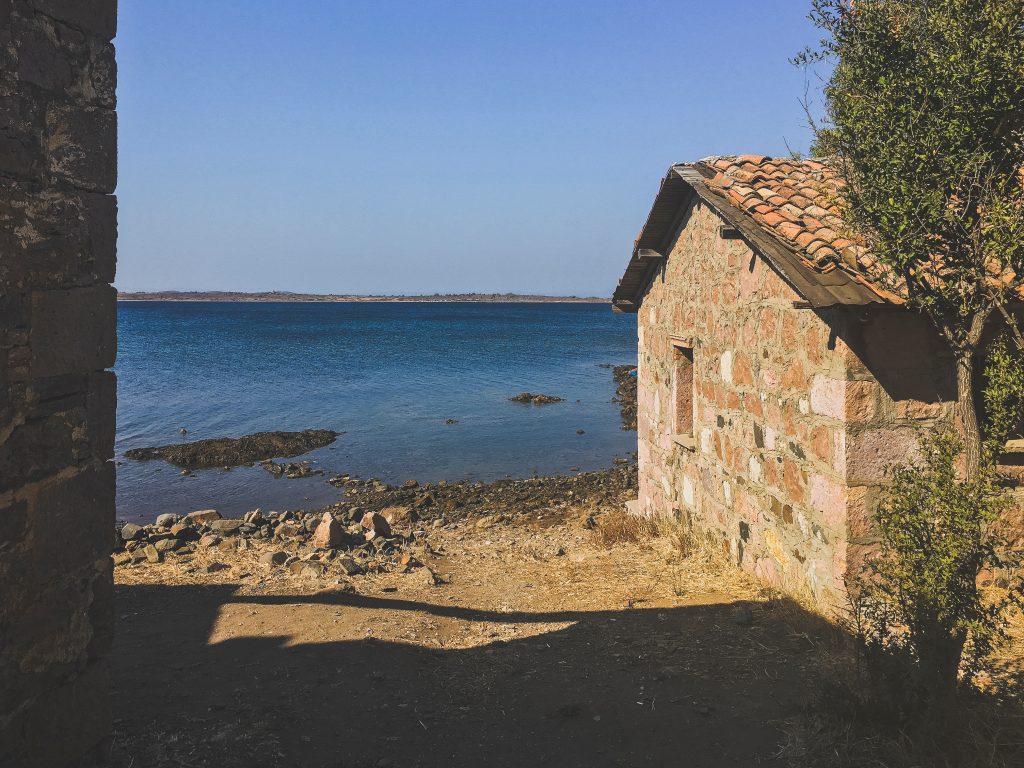 I was but a helpless witness. - Other Terrain Literary Journal